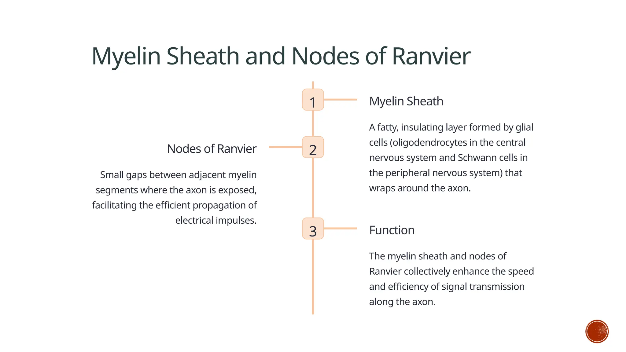 Ultrastructure-of-Neuron and its detailed information | PPTX