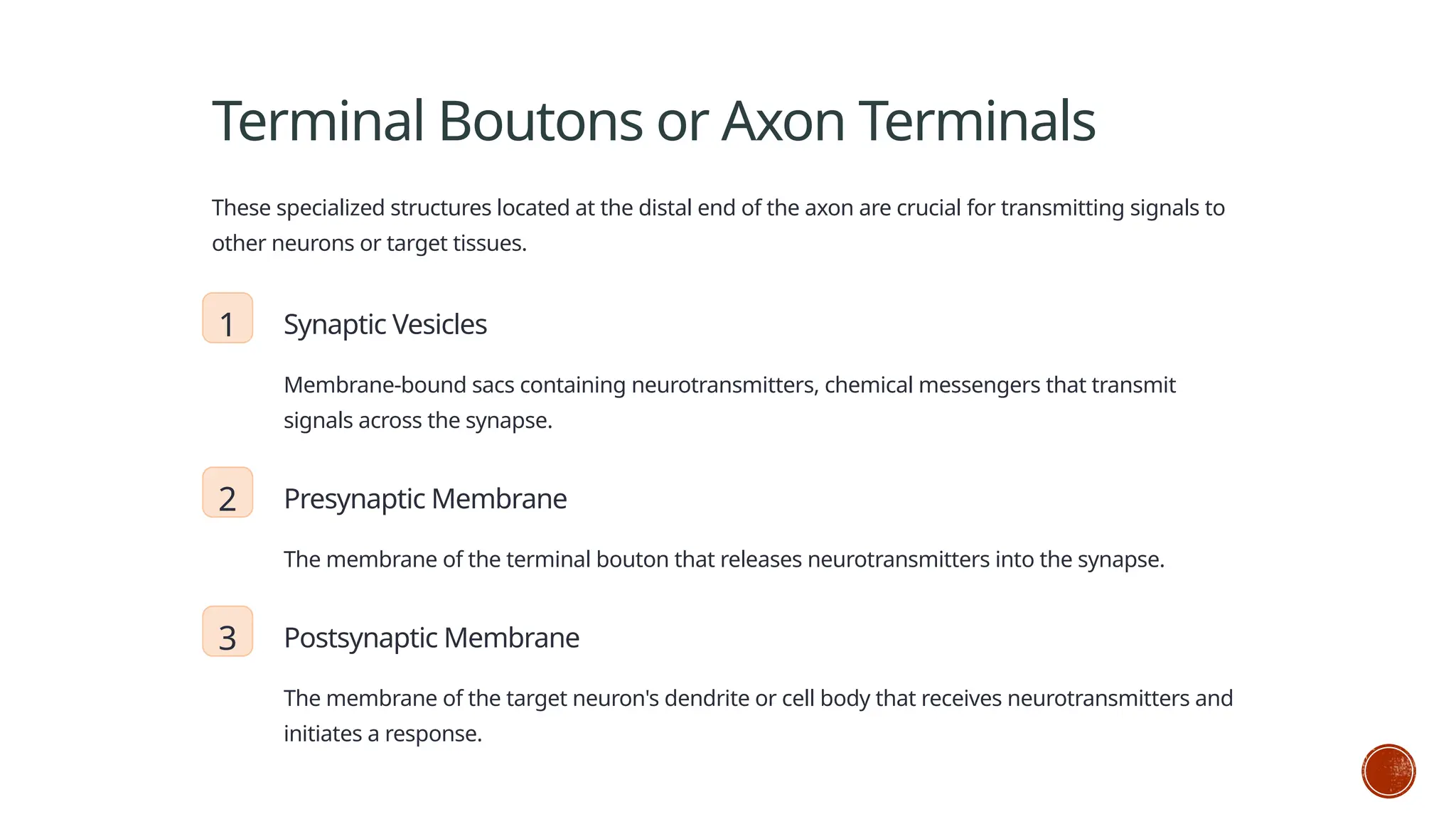 Ultrastructure-of-Neuron and its detailed information | PPTX