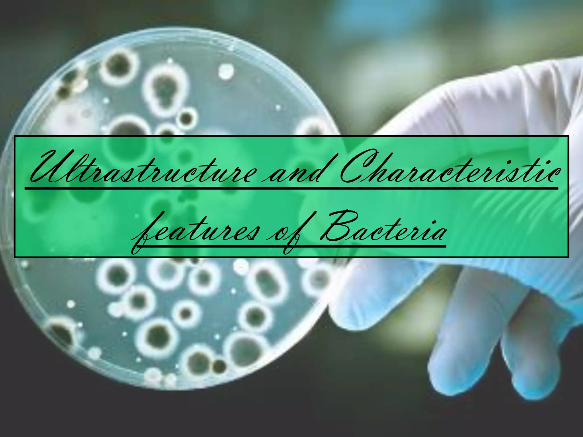 Ultrastructure and characterstic features of bacteria. | PDF