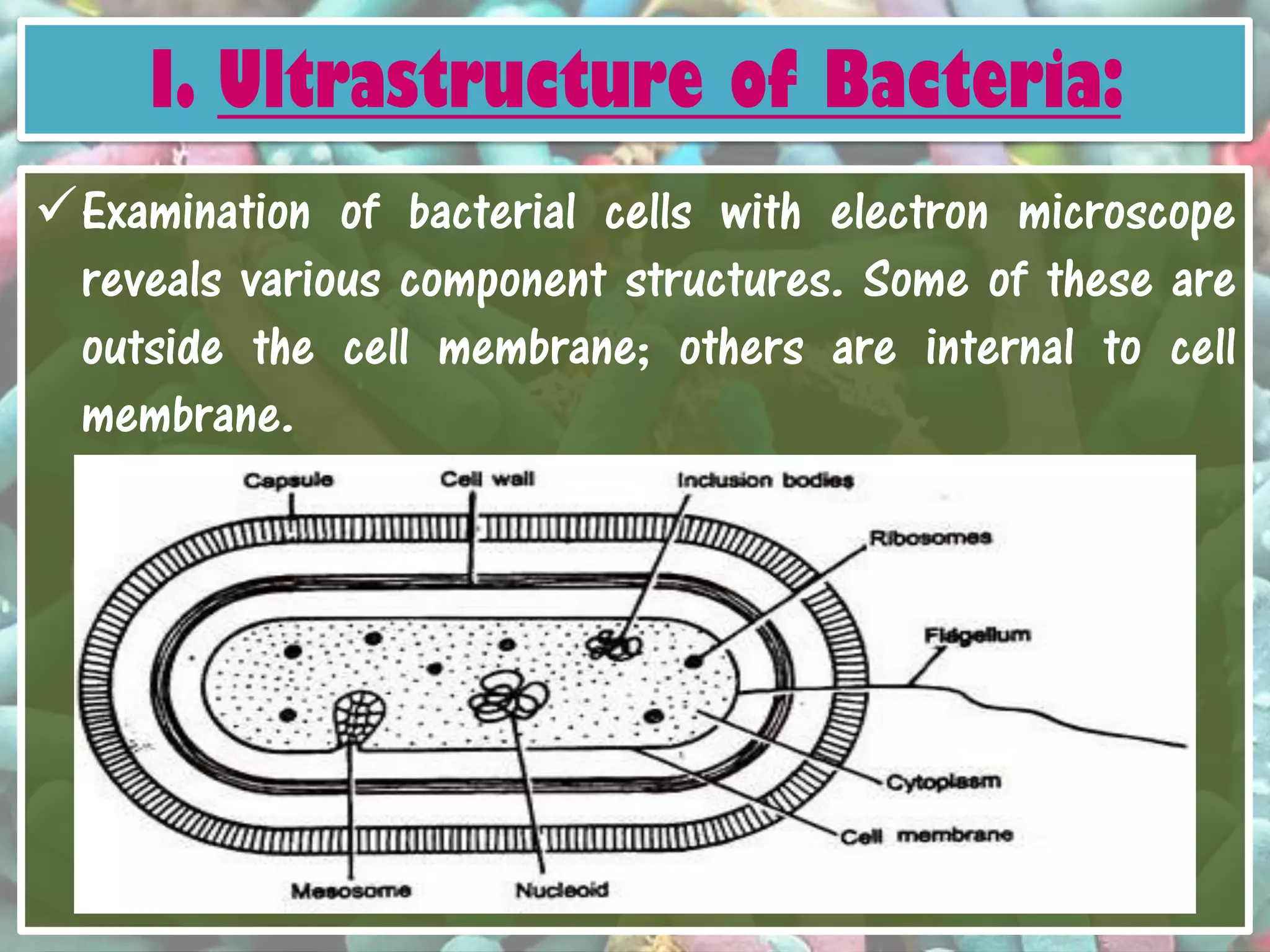Ultrastructure and characterstic features of bacteria. | PDF