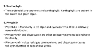 Ultrastructure and functions of Chloroplast.pptx