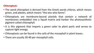 Ultrastructure and functions of Chloroplast.pptx