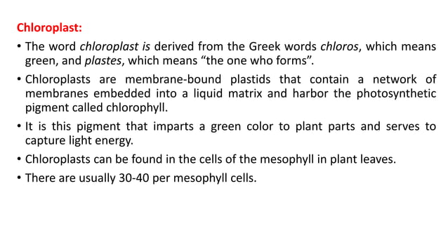 Ultrastructure and functions of Chloroplast.pptx | Biological Sciences ...