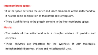 Ultrastructure and functions of Mitochondira.pptx