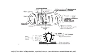 Ultrastructure and functions of Mitochondira.pptx