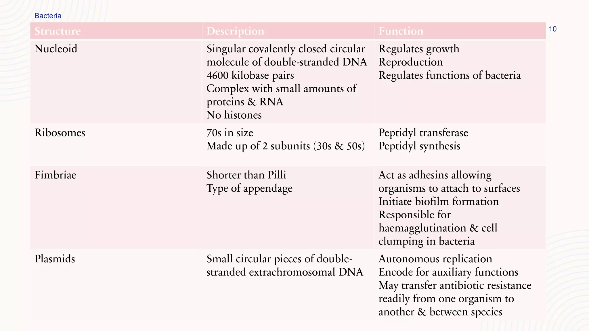 Ultrastructure and Morphological Classification of Bacteria.pdf