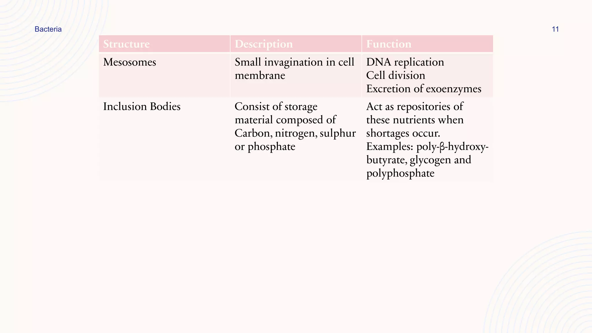 Ultrastructure and Morphological Classification of Bacteria.pdf