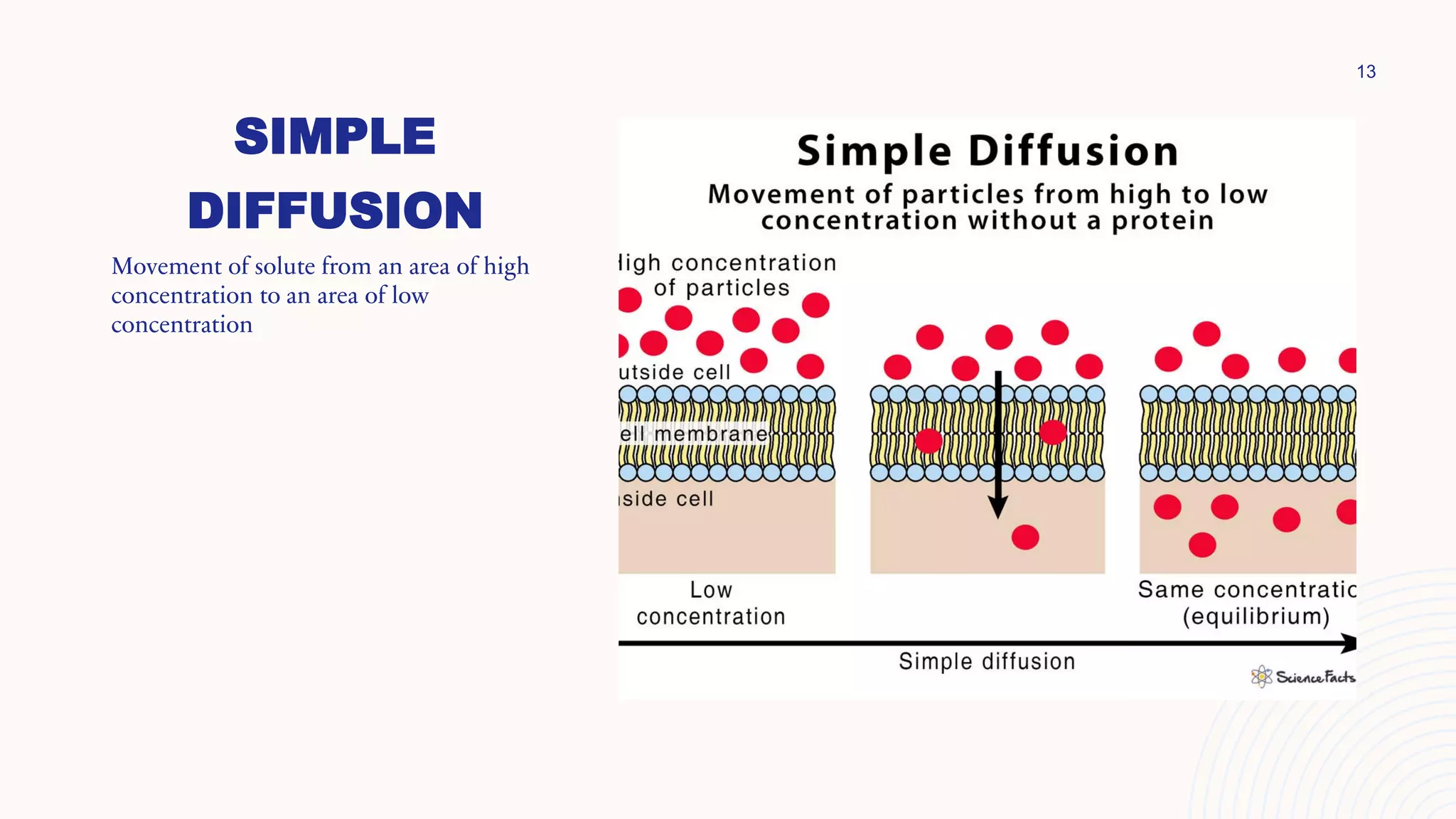 Ultrastructure and Morphological Classification of Bacteria.pdf