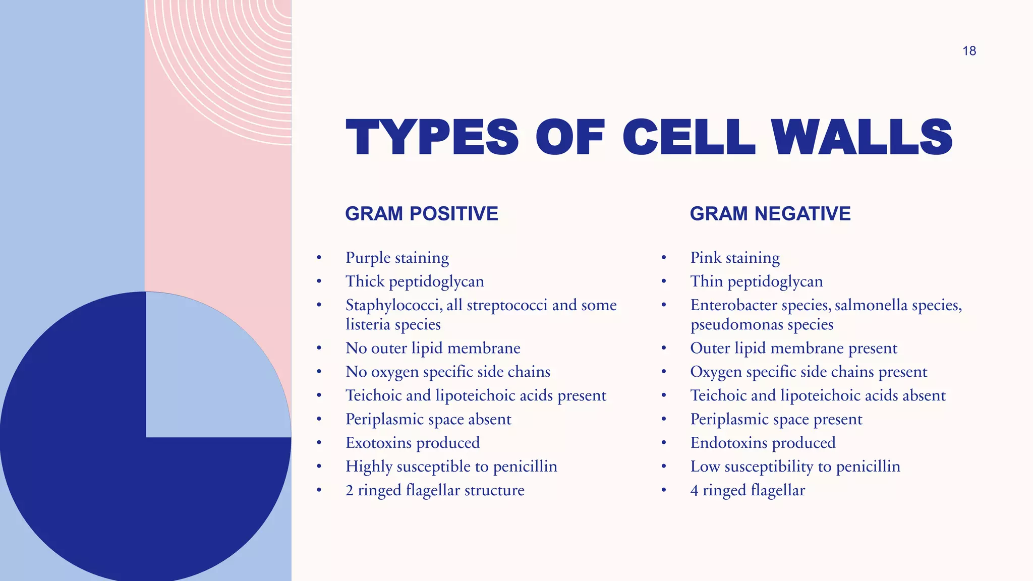 Ultrastructure and Morphological Classification of Bacteria.pdf