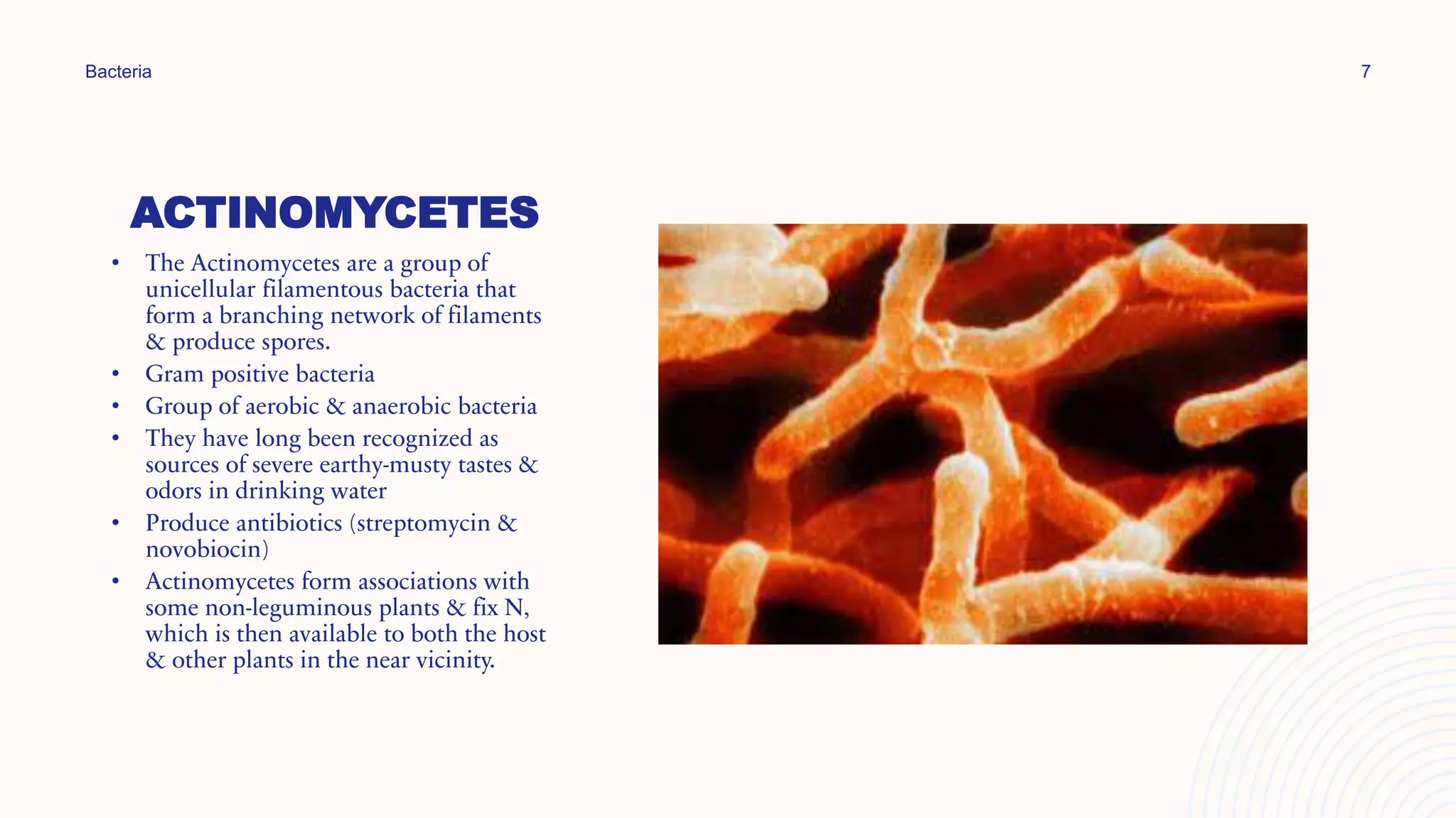 Ultrastructure and Morphological Classification of Bacteria.pdf