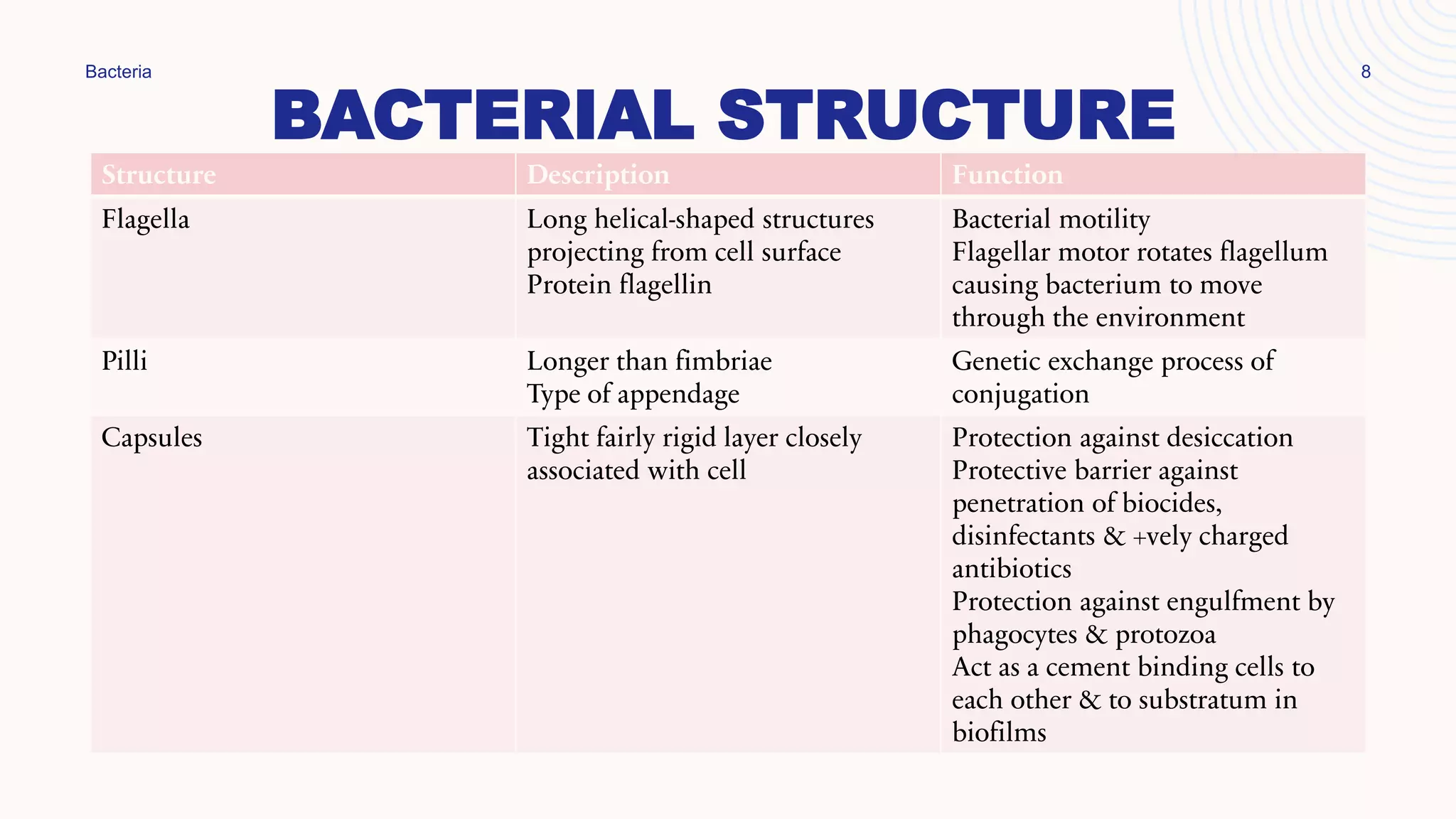 Ultrastructure and Morphological Classification of Bacteria.pdf