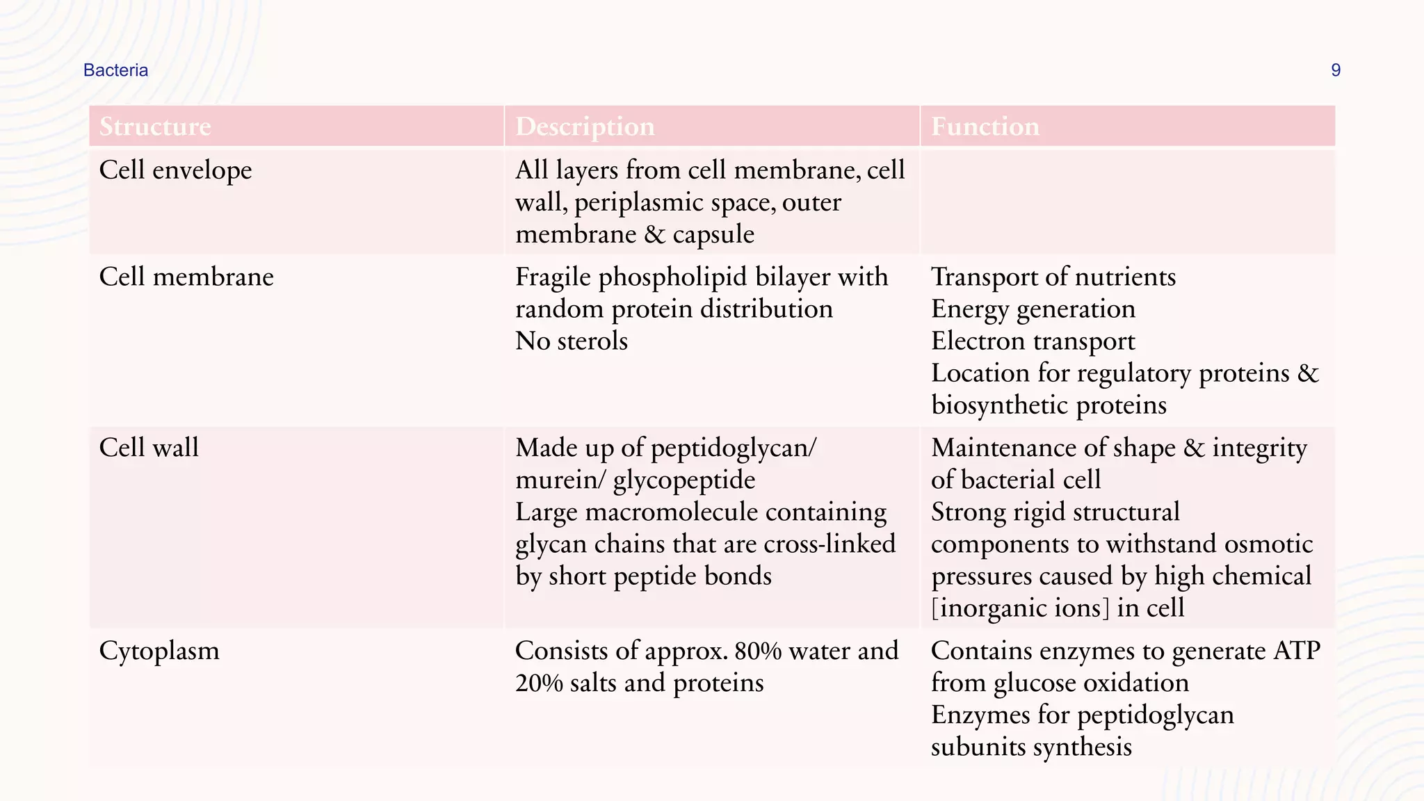 Ultrastructure and Morphological Classification of Bacteria.pdf
