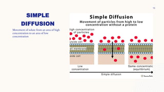 Ultrastructure and Morphological Classification of Bacteria.pdf