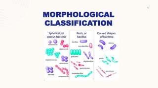 Ultrastructure and Morphological Classification of Bacteria.pdf