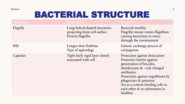 Ultrastructure and Morphological Classification of Bacteria.pdf