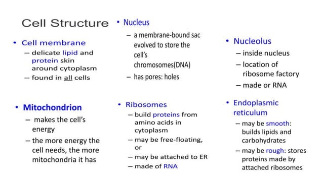 ultrastructure_cell_prokaryotic_eukaryoticpptx | PPT