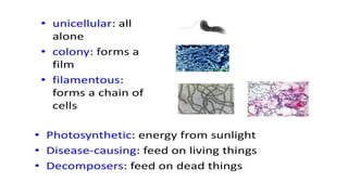 ultrastructure_cell_prokaryotic_eukaryoticpptx | PPT