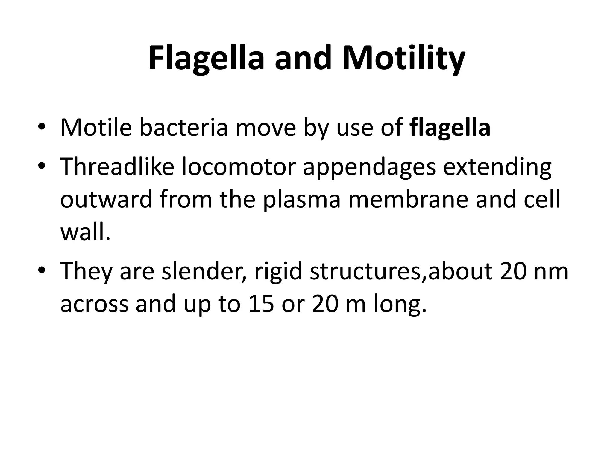 Ultra structure of a bacterial cell | PPTX