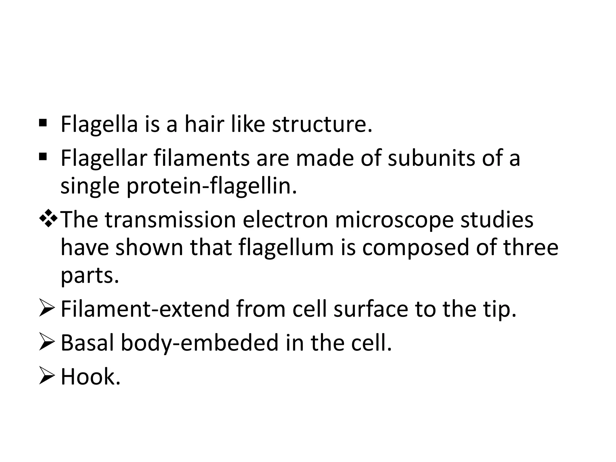 Ultra structure of a bacterial cell | PPTX
