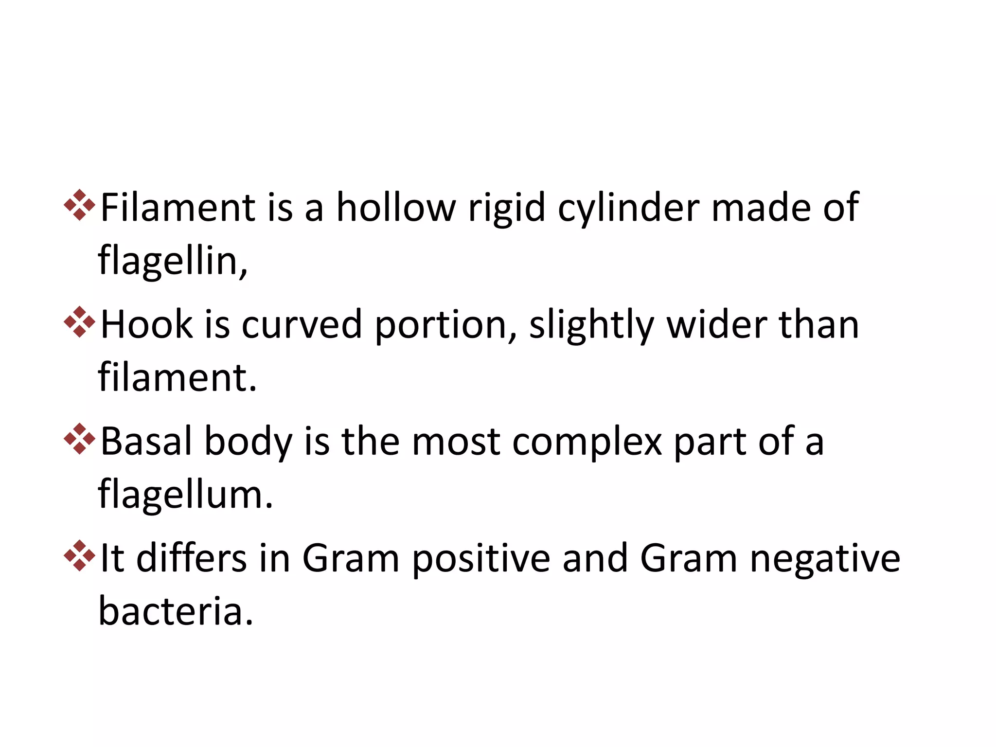 Ultra structure of a bacterial cell | PPTX