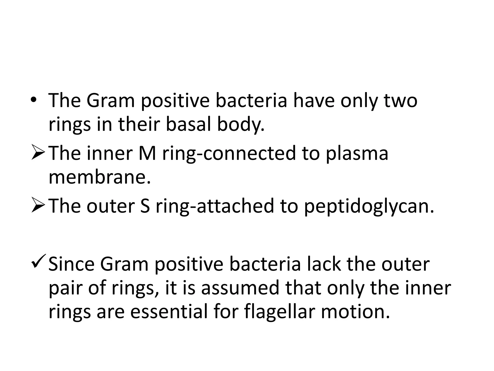 Ultra structure of a bacterial cell | PPTX