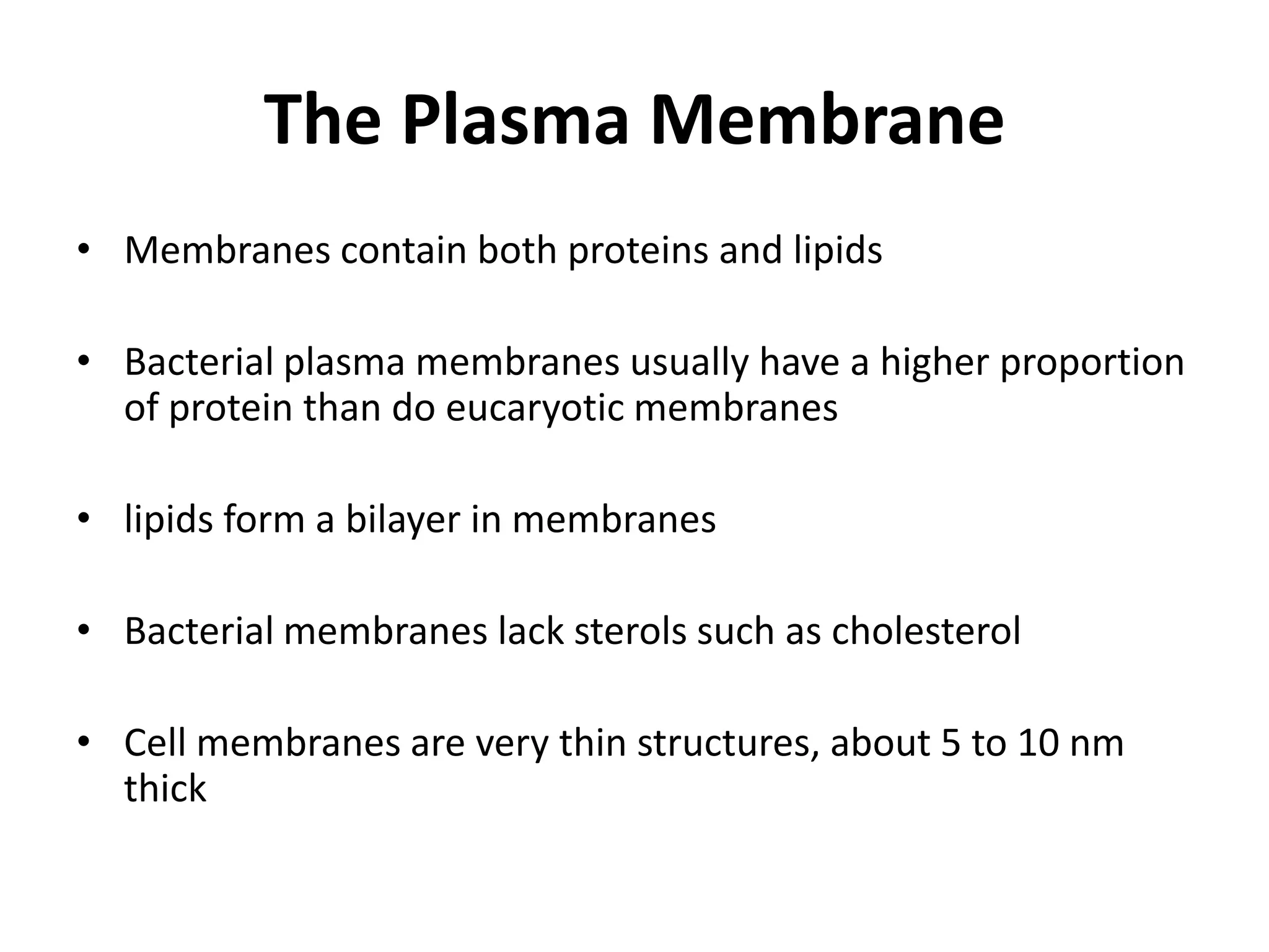 Ultra structure of a bacterial cell | PPTX