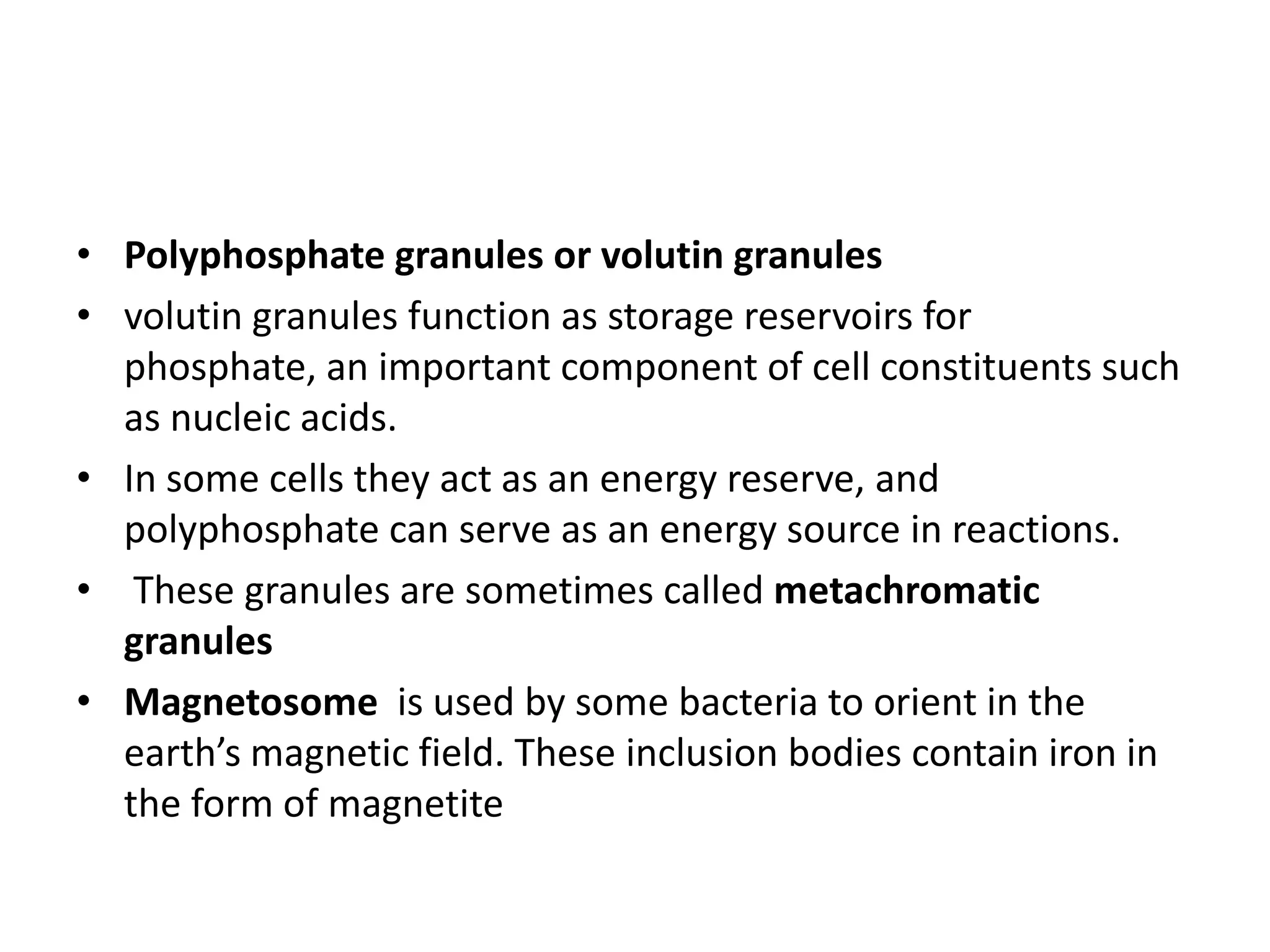 Ultra structure of a bacterial cell | PPTX