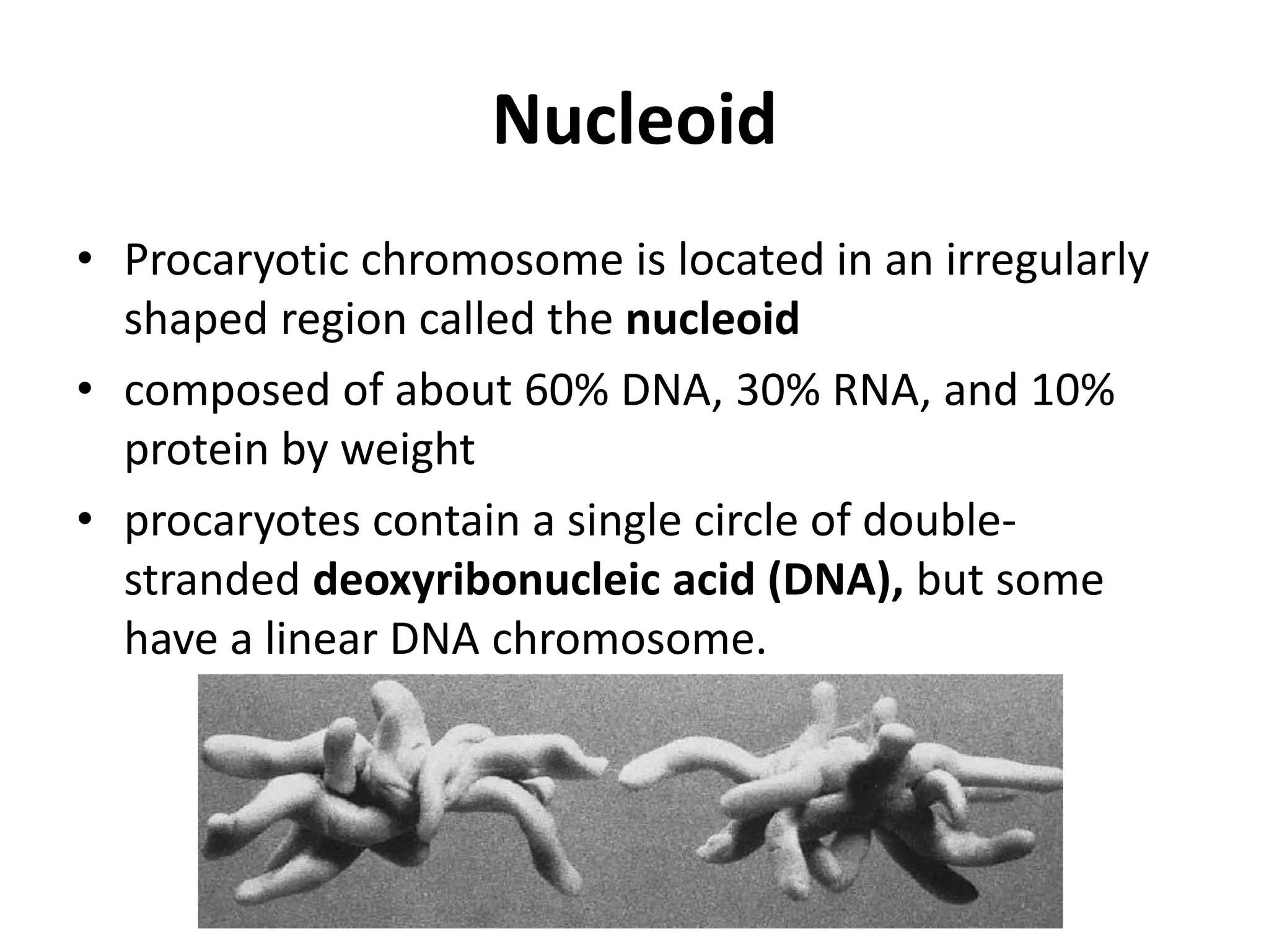 Ultra structure of a bacterial cell | PPTX