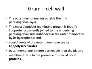 Ultra structure of a bacterial cell | PPTX