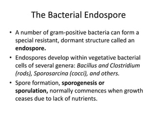 Ultra structure of a bacterial cell | PPTX