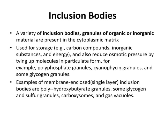 Ultra structure of a bacterial cell | PPTX | Biological Sciences | Science