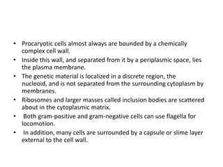 Ultra structure of a bacterial cell | PPTX