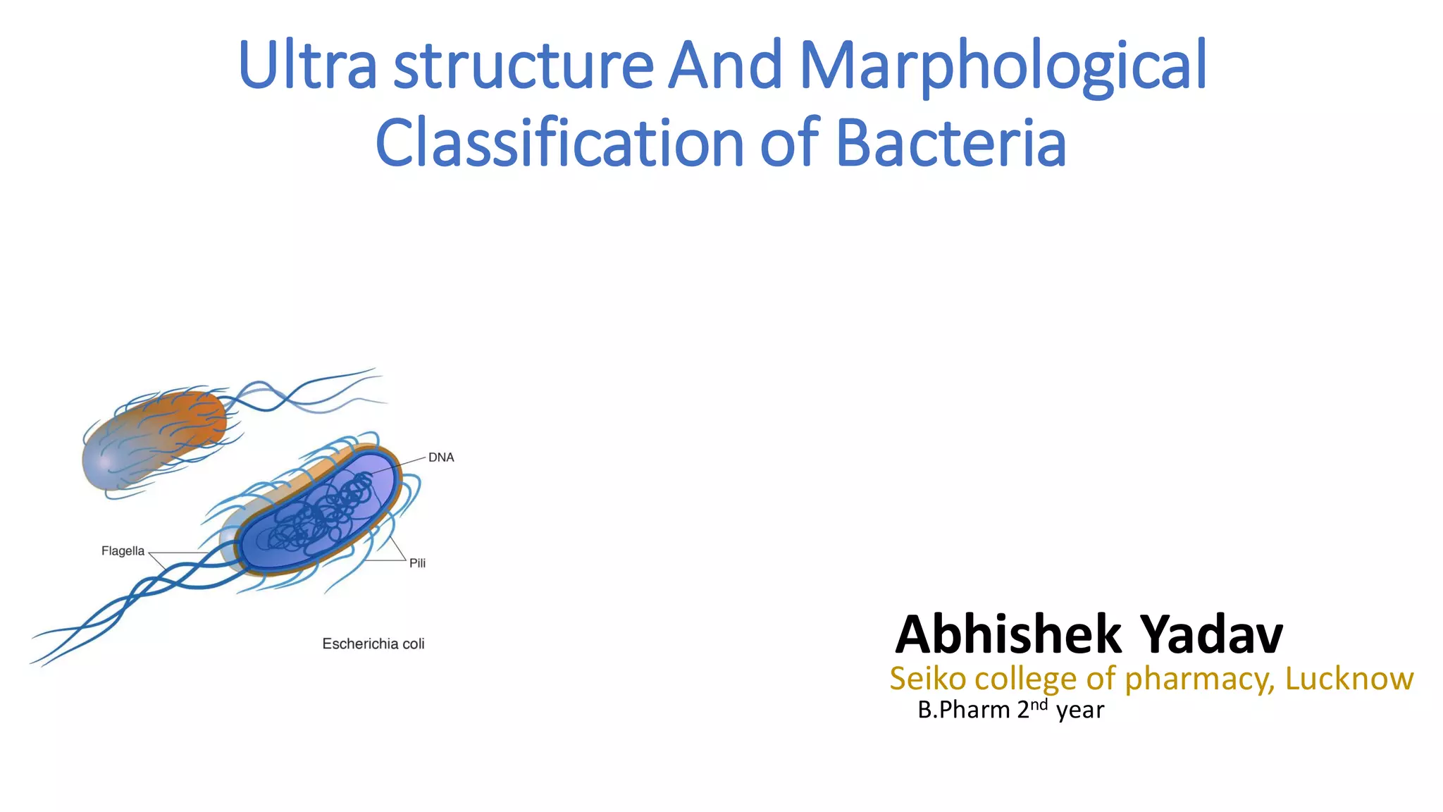 Ultra structure of bacteria.pdf | Biological Sciences | Science