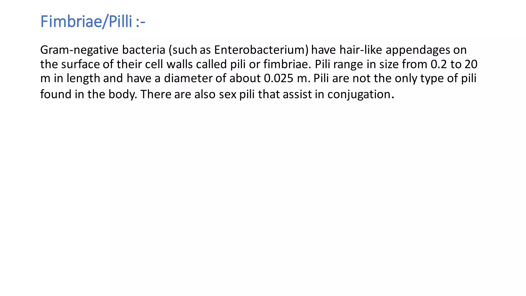 Ultra structure of bacteria.pdf