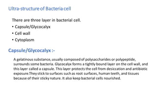 Ultra structure of bacteria.pdf | Biological Sciences | Science