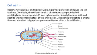 Ultra structure of bacteria.pdf | Biological Sciences | Science