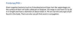 Ultra structure of bacteria.pdf | Biological Sciences | Science