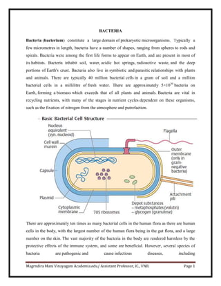 Ultra_structure_of_Bacteria in 1 unit of botany | PDF