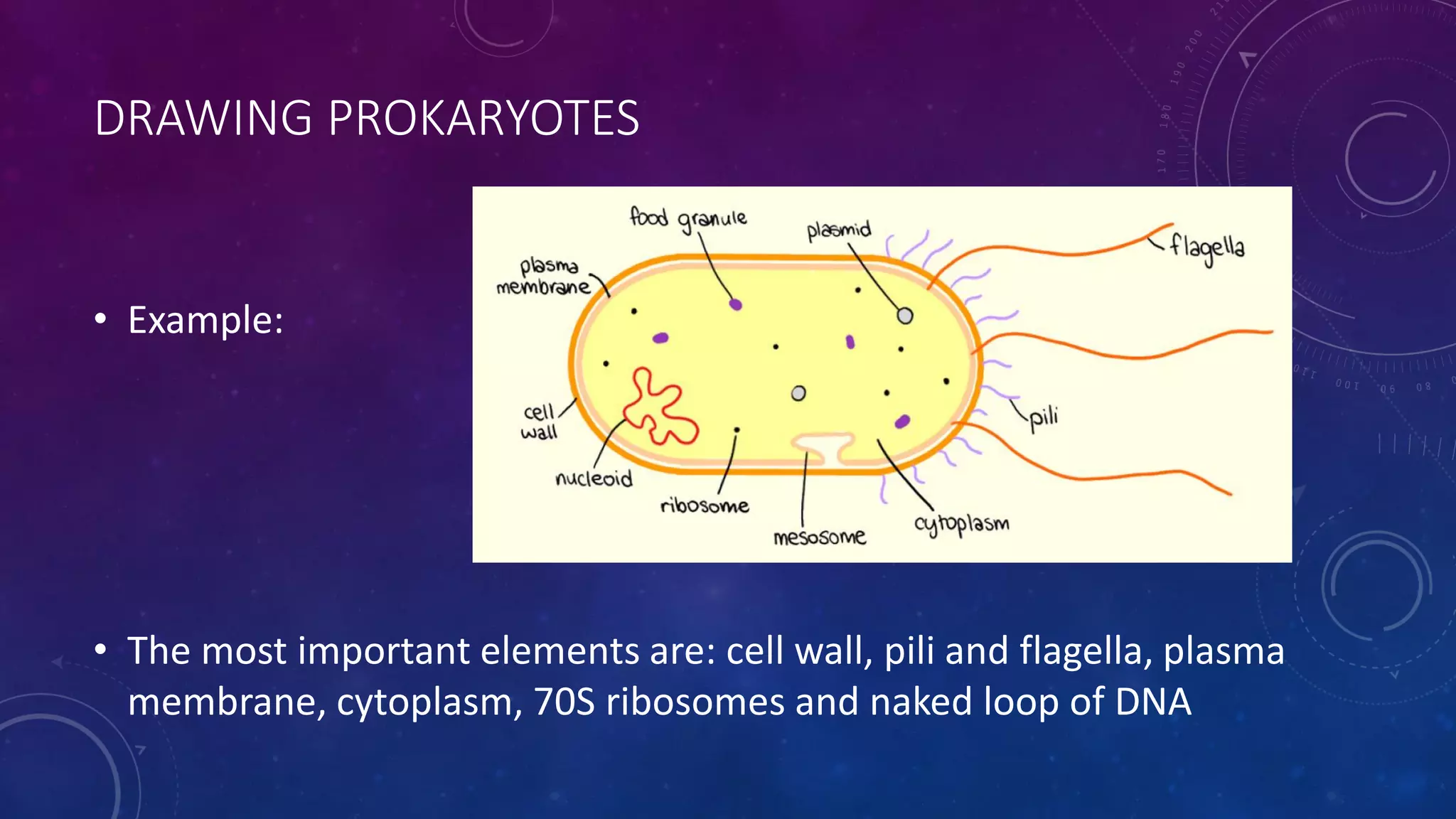 Ultrastructure of Cells | PDF