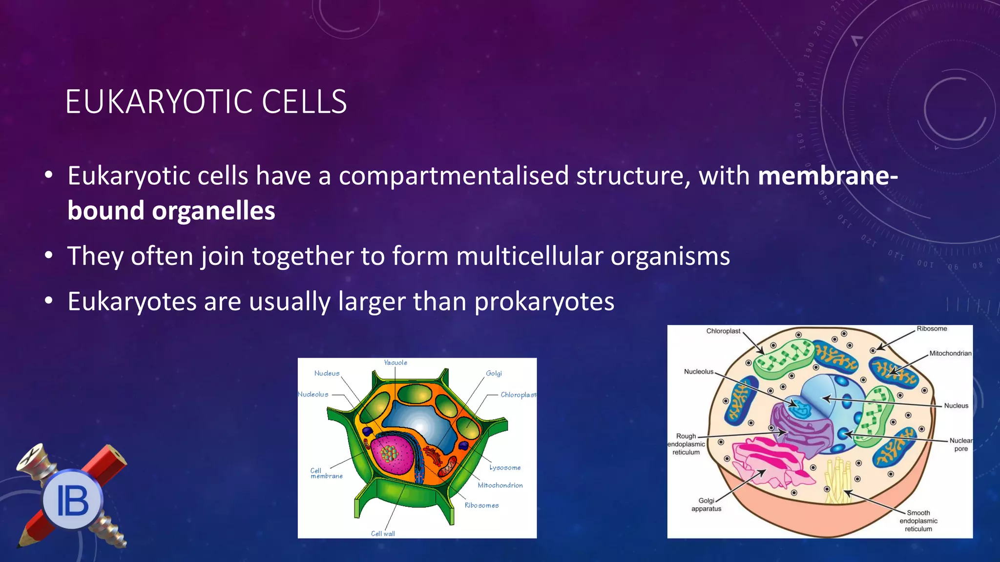 Ultrastructure of Cells | PDF