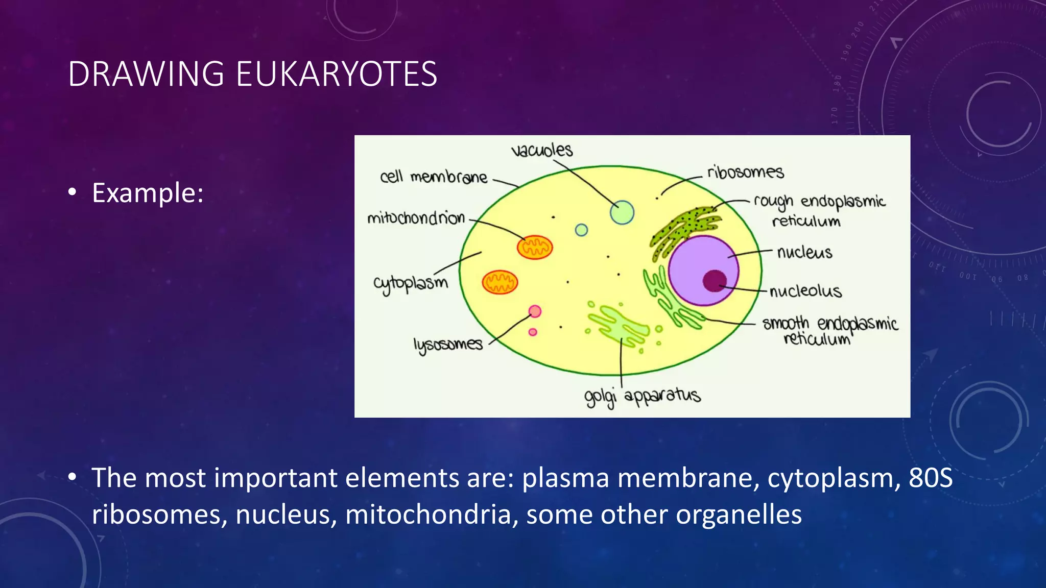 Ultrastructure of Cells | PDF