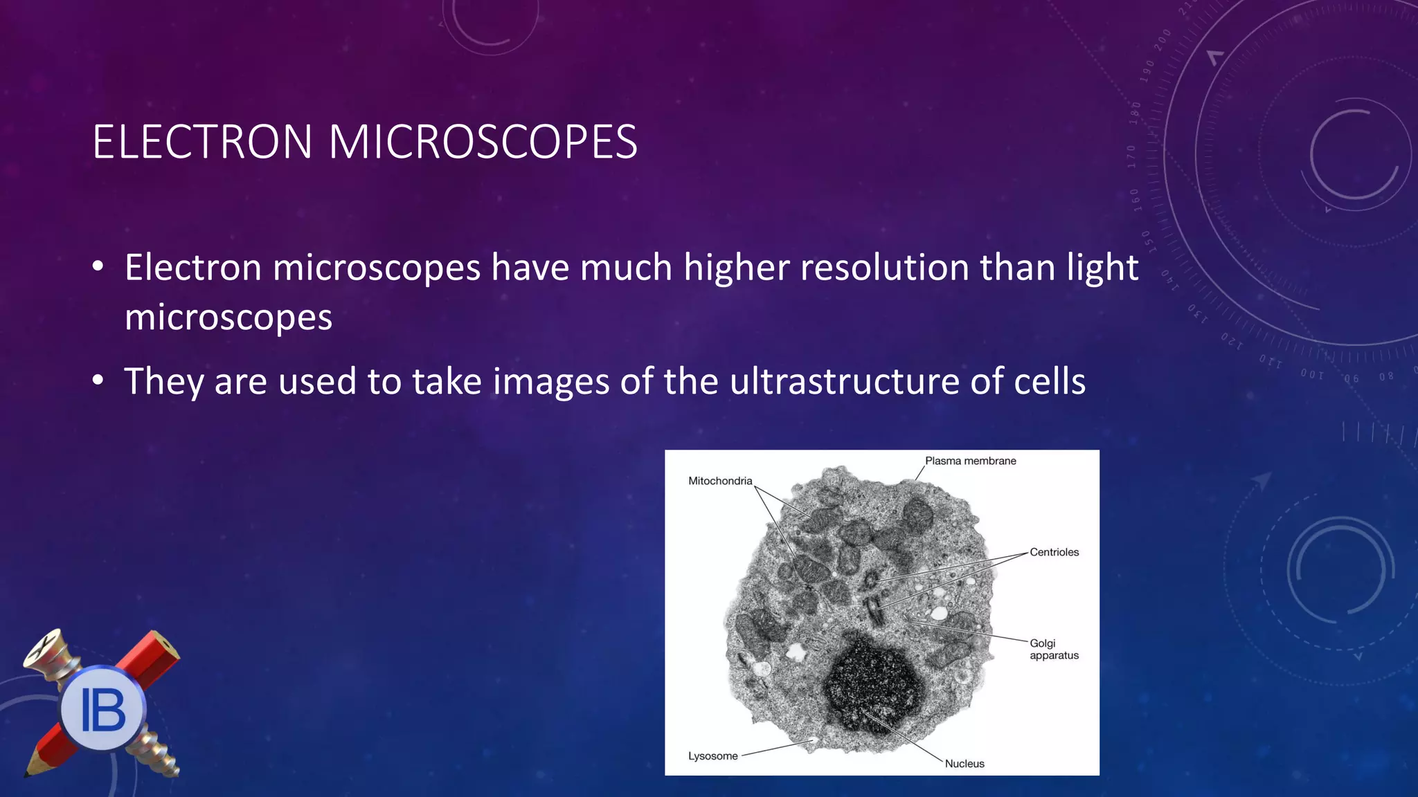 Ultrastructure of Cells | PDF