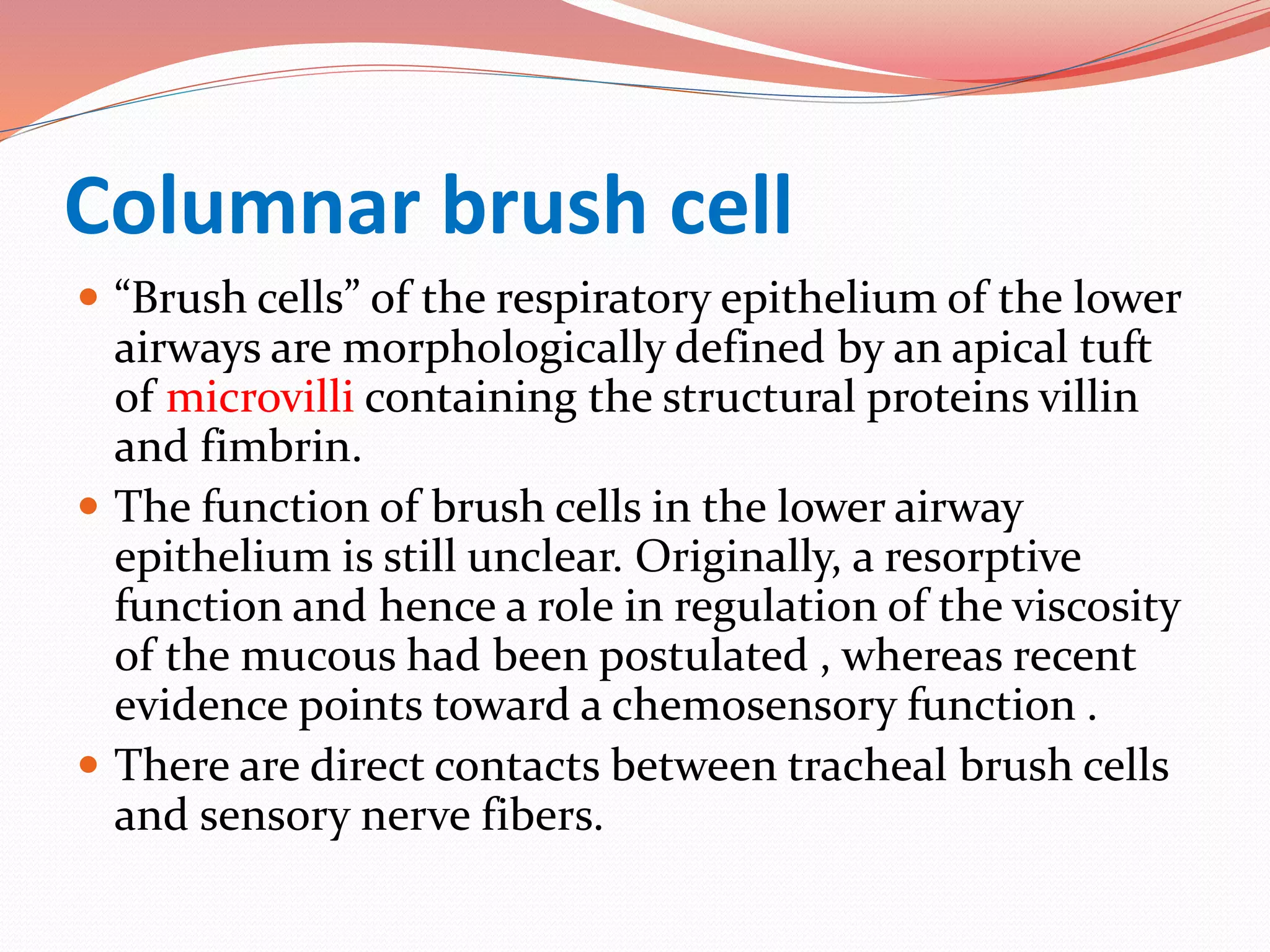 Ultrastructure of cells of respiratory system | PPTX