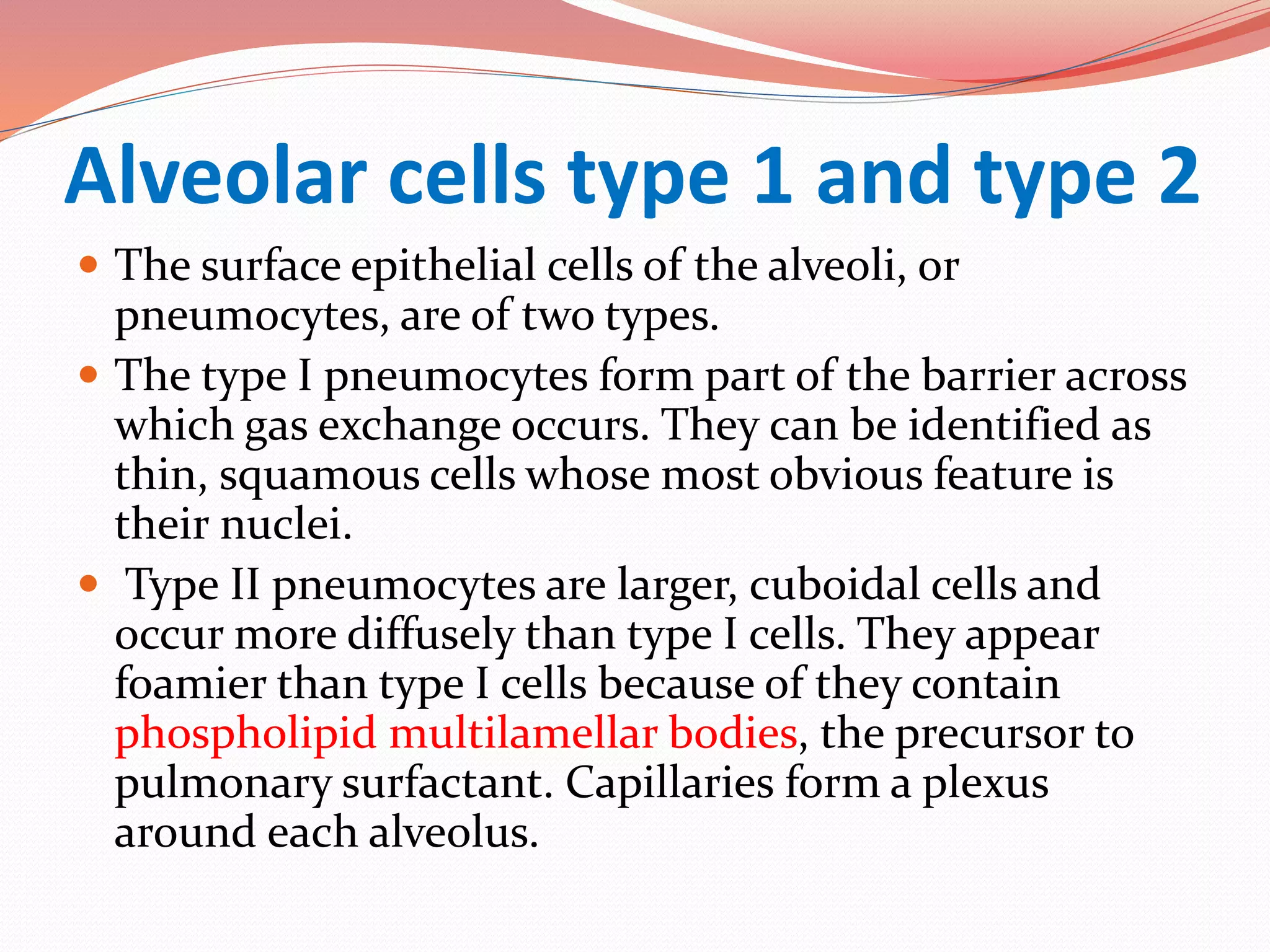 Ultrastructure of cells of respiratory system | PPTX