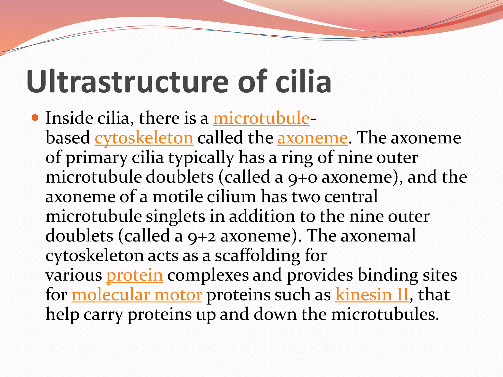 Ultrastructure of cells of respiratory system | PPTX