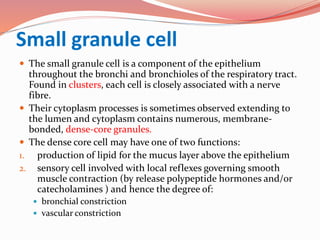 Ultrastructure of cells of respiratory system | PPT