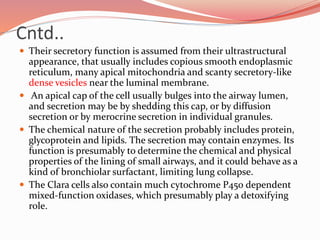 Ultrastructure of cells of respiratory system | PPT