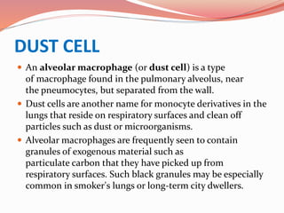 Ultrastructure of cells of respiratory system | PPT