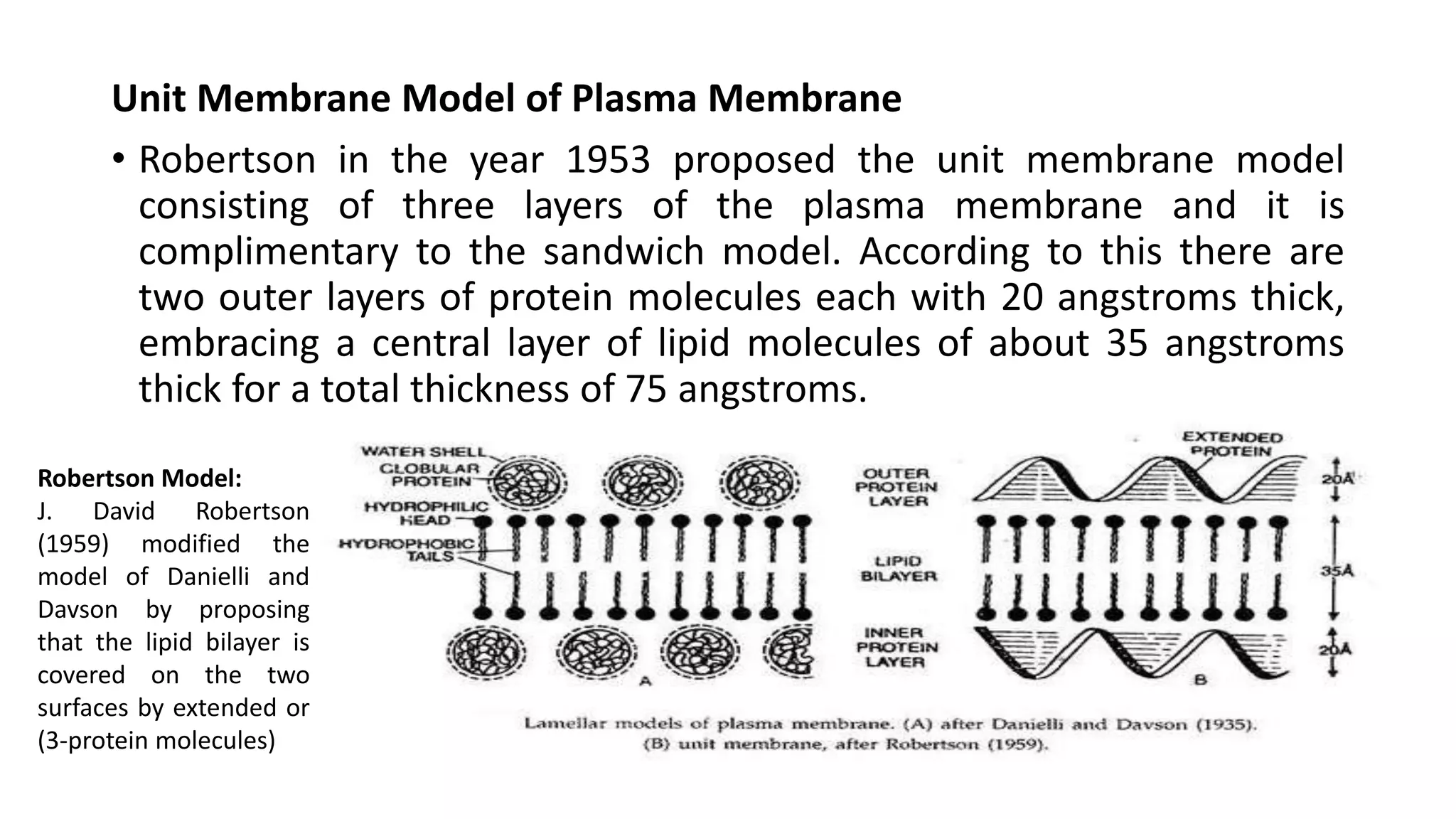 Ultra structure of cell wall | PPTX