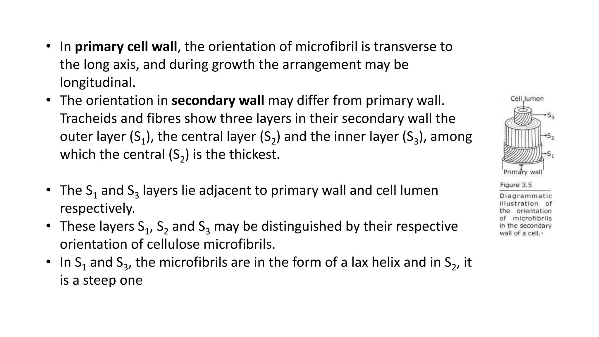 Ultra structure of cell wall | PPTX